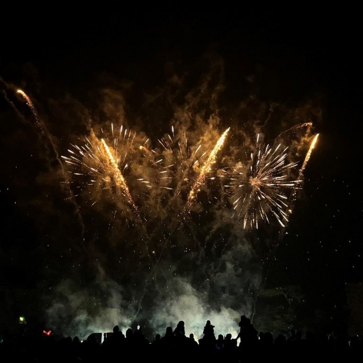 Heath Mount School - Firework Display Dazzles Crowd